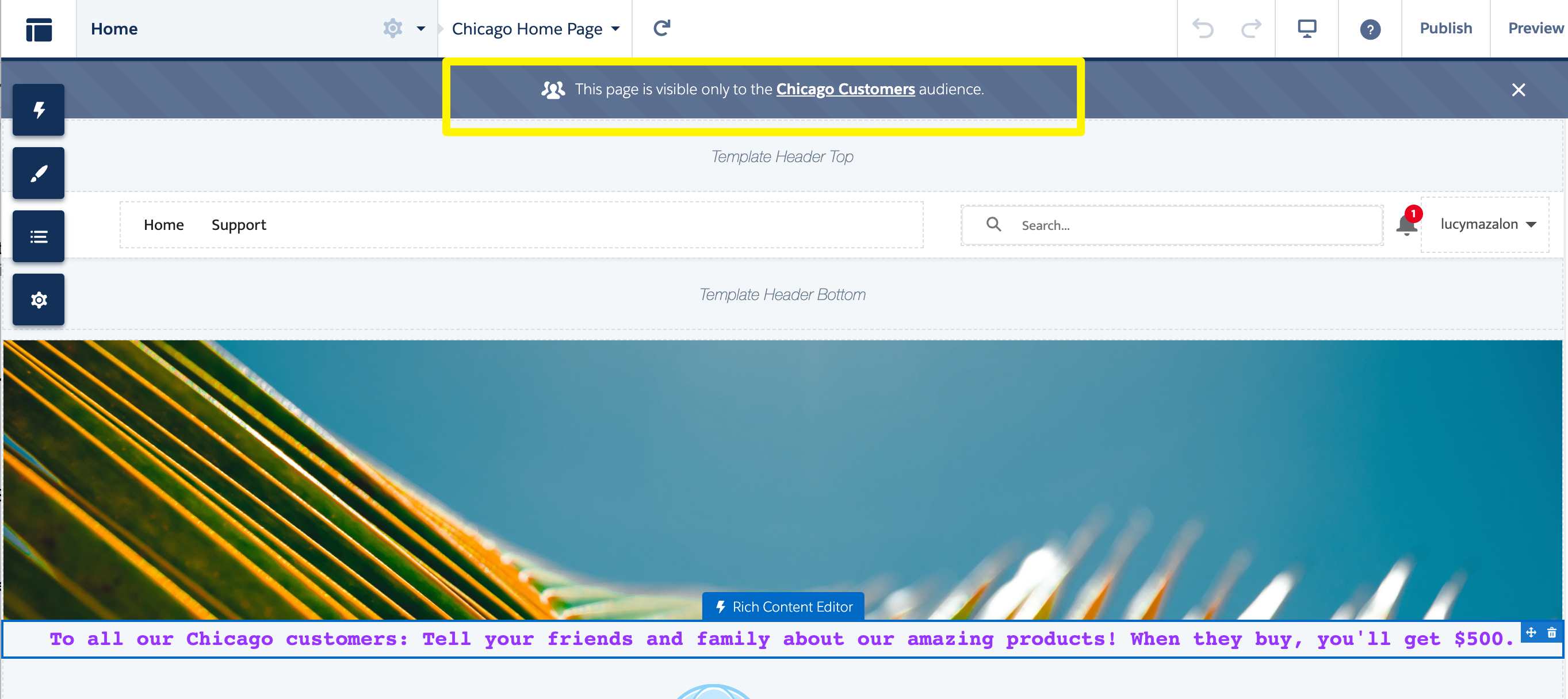 10关键Salesforce经验云术语| Salesforce Ben - beplay体育极光