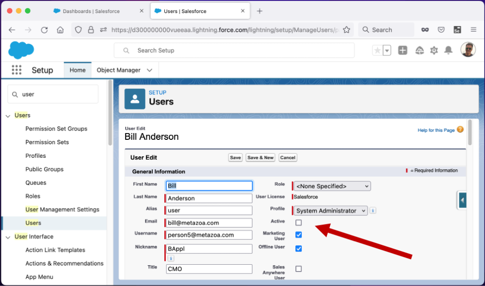 8种方法清理不活跃用户| Salesforce Ben - beplay体育极光