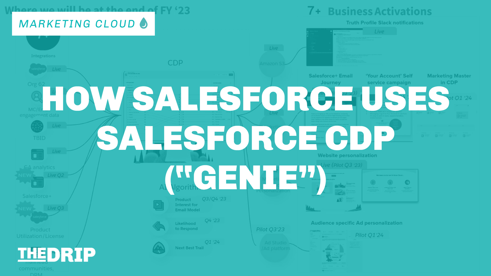 Salesforce如何使用Salesforce CDP(“精灵”)| Salesforce Ben - beplay体育极光